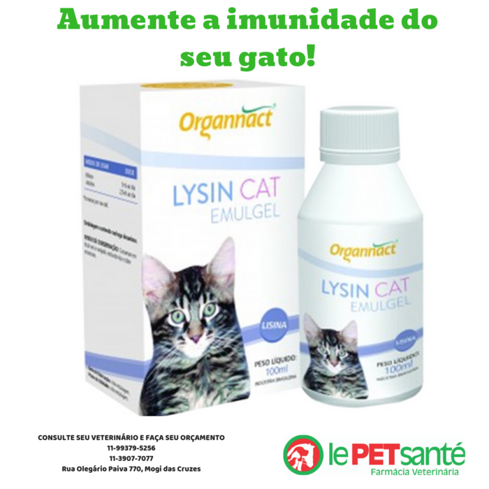 Lysin Cat :: Lepetsante