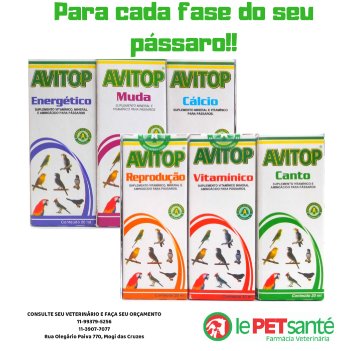 Avitop - sempre saudavel :: Lepetsante